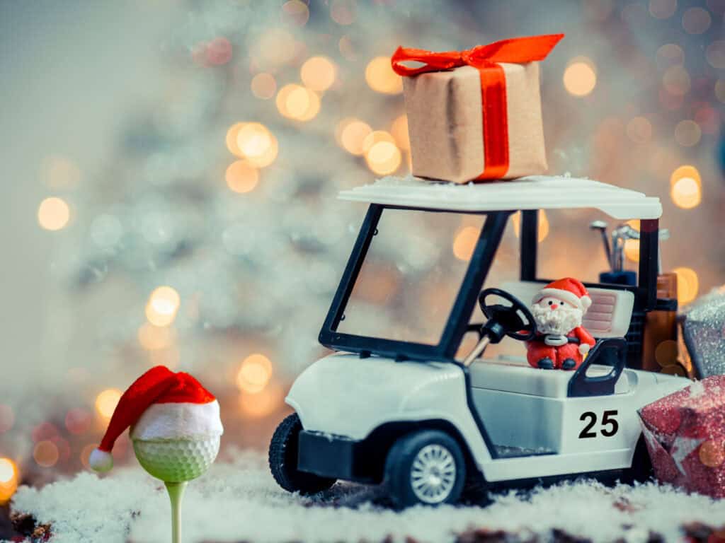30 Best Golf Gifts 2025 - My Favorite Holidays Gift Ideas