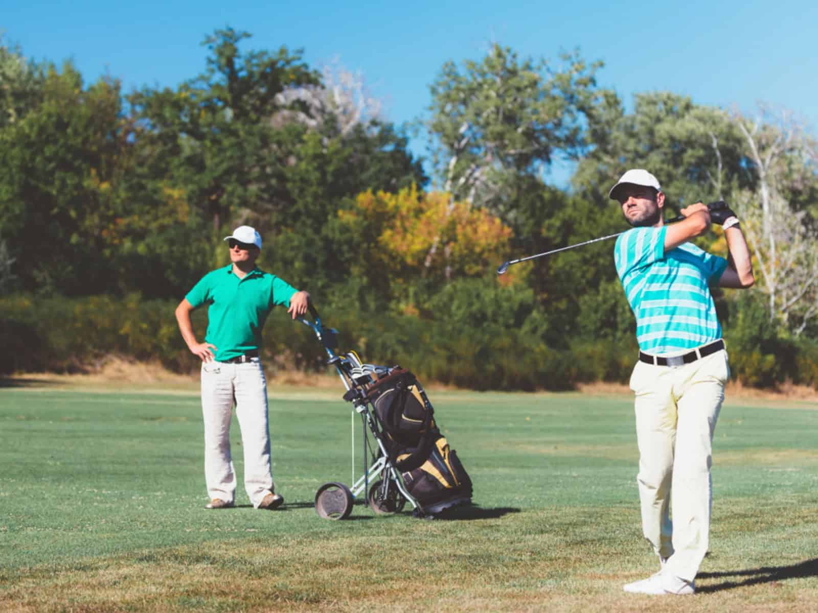 Apex Height Explained: How to Optimize Your Shot Trajectory